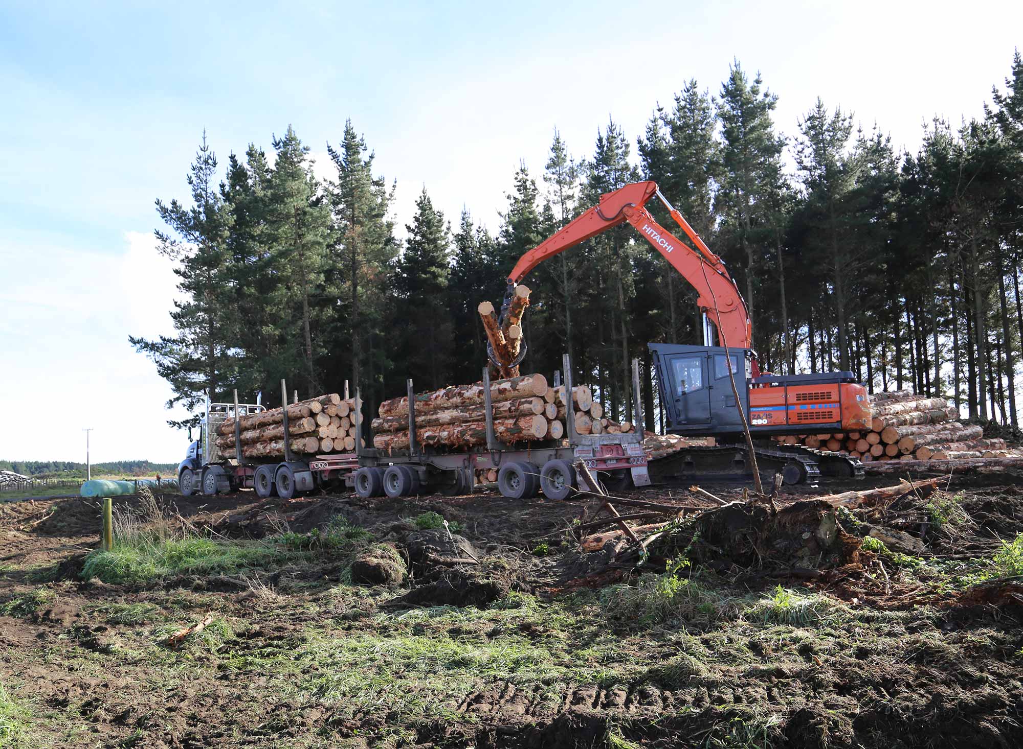 Waipine Logging - Forestry and Logging Services